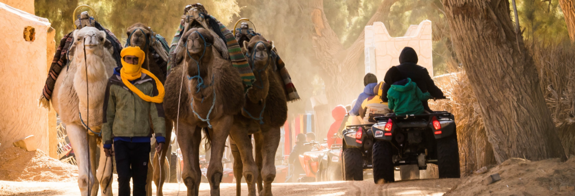 Tunisija: kas jāzina, pošoties ceļojumā uz šo tuksneša un jūras valsti | Novatours