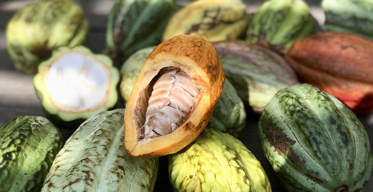 Eksotiskie augļi - eksotiskās valstīs | Novatours