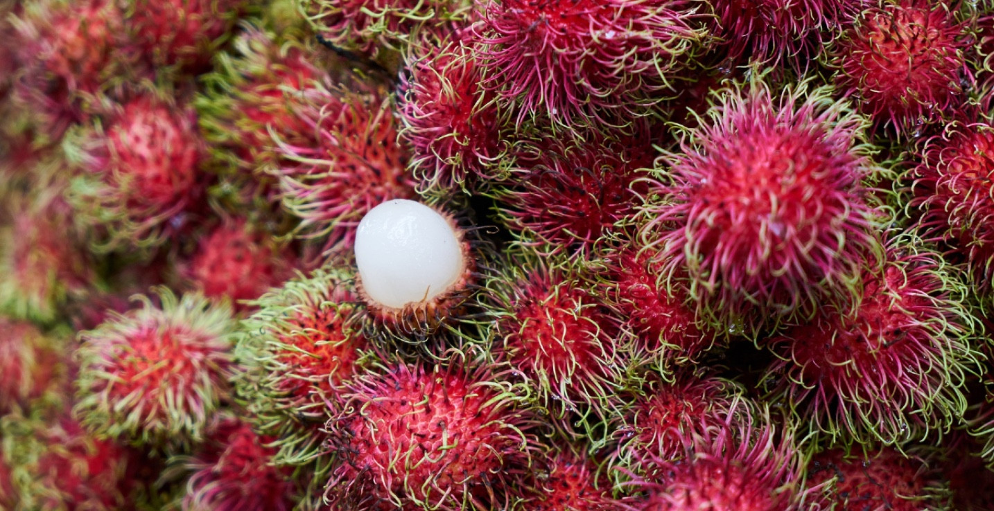 Eksotiskie augļi - eksotiskās valstīs | Novatours